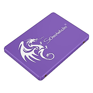 Somnambulist Internal Hard Drive SSD 60GB 120GB 240GB 960GB 2TB SATA3 2.5 inch SSD 480GB SSD (Purple Dragon 240GB)