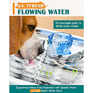 Stainless Steel Large Dog Water Fountain for Large Dogs,3Gallon Extra Large Capacity Big Pet Water Fountain with 4 Filters,Automatic Dog Fountain Water Bowl Dispenser Indoor,Quiet Pump,Dishwasher Safe