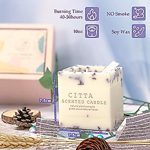 Orentas, Scented Ice Cream Candles & Cube Set, Pure Natural Soybean, Plant Mix for Aromatherapy Wax, for Home Meditation, Mother's Day Gift, Birthday Gift, 2 Bulk Packs (French Vanilla Ice-Cream)