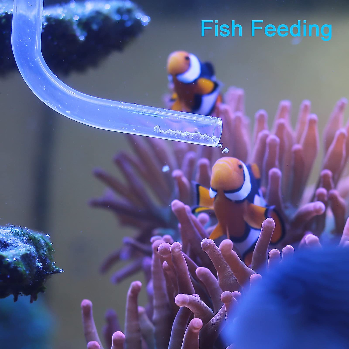 AREPK Aquarium Coral Feeder Fish Feeder Waste Clean Tool Manual Cleaner Water Changer Fish Tank Cleaning Tool Siphon Dropper Waste Remover Aquatic Bottom Feeder Pipette