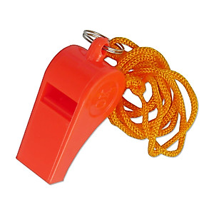 Ready America 70380 72 Hour Emergency Kit, 4-Person, 3-Day Backpack, Includes First Aid Kit, Survival Blanket, Emergency Food Portable Disaster Preparedness Go-Bag for Earthquake, Fire, Flood