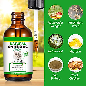 Antibiotics for Cats, 2 Oz Natural Cat Antibiotics Supports for UTI Cat Immune Support, Cat Multivitamin, Cat Itch Relief, Cat Allergy Support, Chicken Flavor