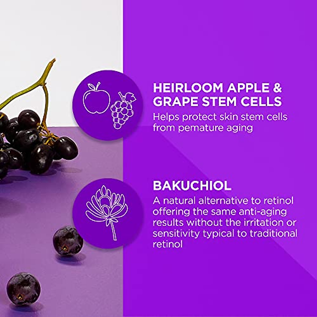 Andalou Naturals Age Defying Plant-Based Retinol Alternative Cream, 1.7 Ounce