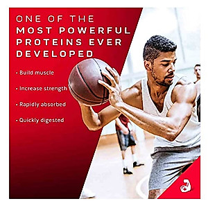 Whey Protein Powder | MuscleTech Nitro-Tech Whey Gold Protein Powder | Whey Protein Isolate Smoothie Mix | Protein Powder for Women & Men | Chocolate Protein Powder, 2 lbs (28 Serv)-package varies