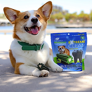 ARK NATURALS Extreme Clean Brushless Toothpaste – Small Breeds, 12oz Bag – Long-Lasting Dog Dental Chew with Toothpaste Center – Freshen Breath, Reduce Plaque & Tartar with Dental Chews for Dogs