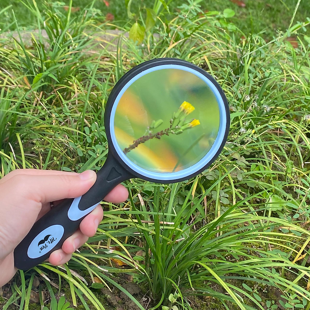 Mr. Pen- Magnifying Glass, 2 Pack, 10X Magnifier, 75mm Glass Lens, Magnifying Glass for Kids and Adults, Handheld Magnifying Glass, Magnifier for Reading, Magnifying Glasses for Close Work