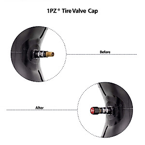 1PZ ER5-T01 12.5 x 2.25 (12-1/2" x 2-1/4") Tire & Inner Tube Replacement for Razor Pocket Mod Bella Betty Bistro Daisy Hannah Schwinn GT IZIP eZip MX125 Gas Electric Scooter Dirt Kids Bike