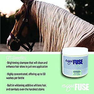 EquiFUSE CFS Concentrate + Paste Horse Shampoo | Formulated for Deep Cleansing and Superior Shine on Hair |100% All-Natural Coat Brightener | 16 oz