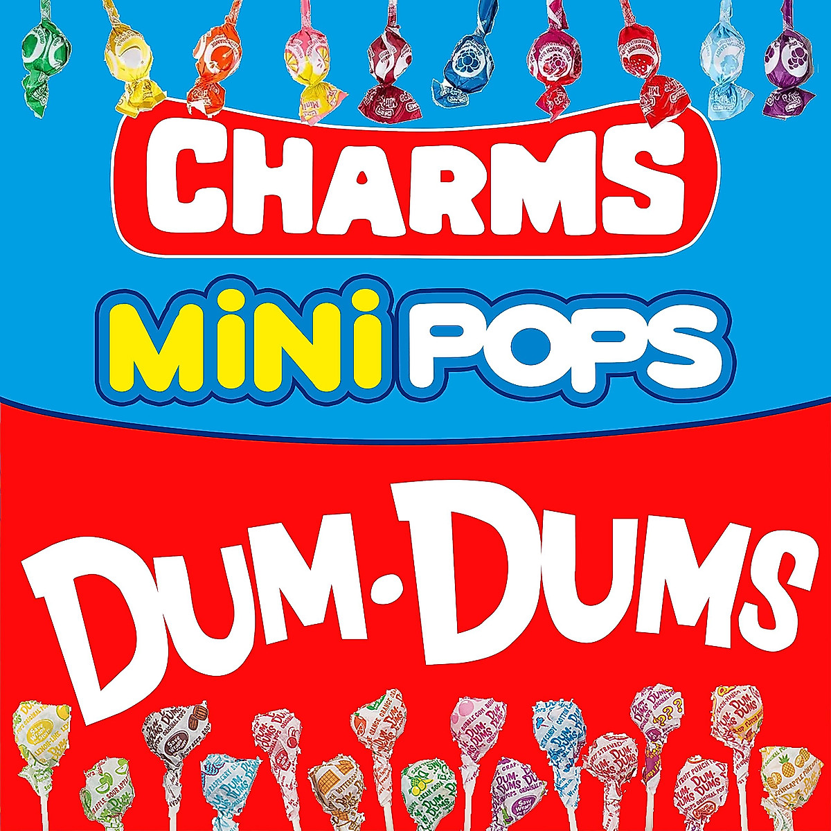 Bulk Suckers Individually Wrapped Bulk Lollipops - Dum Dums and Charms Mini Assorted Pops (1000 Count) by Bussin Boxes