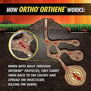 Ortho Orthene Fire Ant Killer1 (Twin Pack)