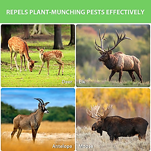 MAGIC CAT Deer Repellent Outdoor, 20 Pack Natural Peppermint Oil Deer and Rabbit Away Repellent for Plants Pet Family Safe, Deer Deterrent for Garden Yard Lawn Tree Protection