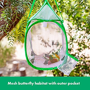 Educational Insights GeoSafari Jr. Butterfly Bungalow, Butterfly Garden Kit, Gift for Kids Ages 4+