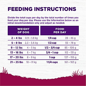 Wellness Complete Health Grain-Free Small Breed Dry Dog Food, Natural Ingredients, Made in USA with Real Turkey, For All Lifestages (Turkey, Chicken & Salmon, 4-Pound Bag)