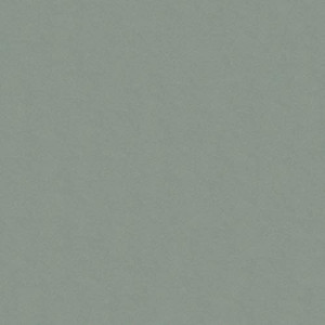 Medium Gray Cardstock - 12 x 12 inch - 80Lb Cover - 25 Sheets - Clear Path Paper
