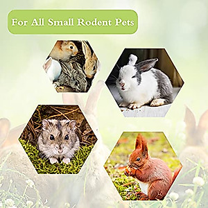 Bunny Chew Toys, LE-SEKAI Natural Rabbit Chew Toys Nutritious Small Animal Molar Treat Biscuits - Carrot Biscuits, Timothy Biscuits, Alfalfa Biscuits, and Rye Biscuits, 120g Each for Rabbit/Hamster