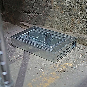 Southern Homewares Multi-Catch Clear Top Humane Repeater Mouse Trap's