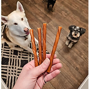DOGCHEWZ™ Rawhide Free Twist Dog Chew Treats 5" (36 Count/Bag) - Chicken Flavor - Gluten Free