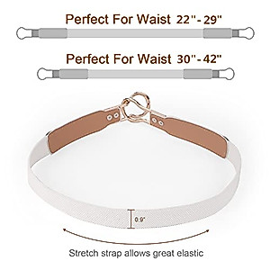 WERFORU Women Skinny Belt for Dresses Retro Stretch Ladies Waist Belt Plus Size Set of 4 (Fits Waist 30"-42", a-black+brown+white+gray)