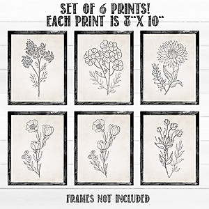 Beige Florals in Black and White Set of 6-8x10 Unframed Art Prints - Makes a Great Gift to Gardening Enthusiasts and Lovely Living Room Decor Under $20