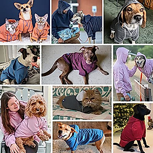 Blueberry Pet Essentials Men's Women's Better Basic Cotton Blend Hoodie Sweatshirt for Pet Parents Owners in Midnight Blue, X-Large, Matching Dog Sweatshirt Available Separately