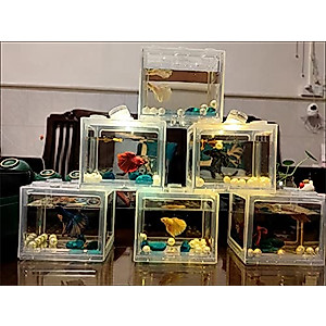 AWXZOM 2pack Small Betta Fish Tank,Small Fish Tank Plastic Fish Bowl Small Goldfish Bowl Small Aquarium beta Fish Tank with Cover (2pack-Small-Clear)