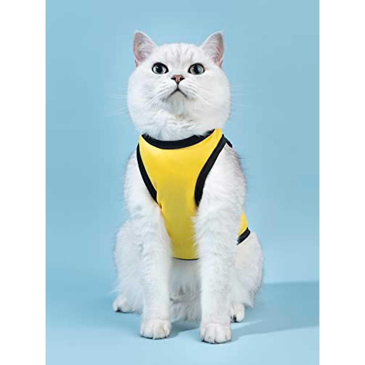 QWINEE Dog Shirts Mom Boy Pet T Shirts Tank for Dogs & Cats,Puppy Shirts,Breathable Letter Pet Clothes for Small Medium Dogs Cats Yellow A Medium