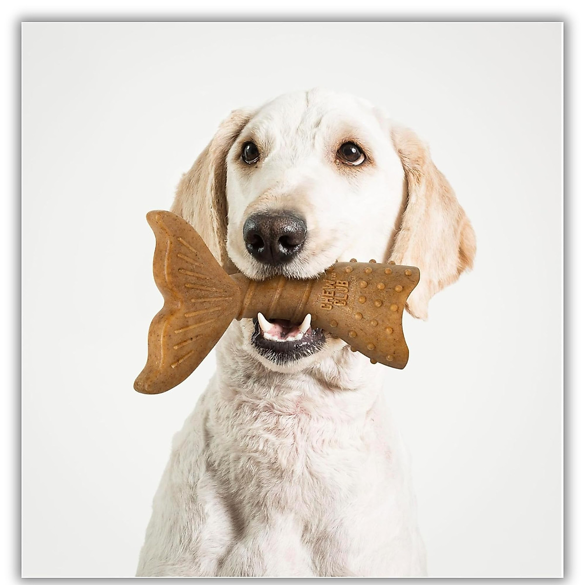 Power Bone Pet Chew Toy for Dogs - Durable, Non Toxic & Pet Safe - Best for Aggressive Chewers, Long Lasting Dental Health, Dog Teeth Cleaning, Dog Life Stages - Twist Tail 6''