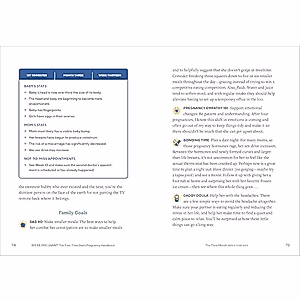 We're Pregnant! The First Time Dad's Pregnancy Handbook