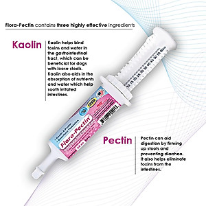 Oral Paste for Dogs & Cats-Helps Reduce Occasional Loose Stool & Diarrhea, Balance Gut pH, Support Normal Digestion & Intestinal Flora-Fast Acting Probiotic (60 CC - Tasty Chicken Flavor)