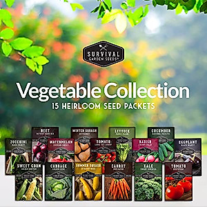 Survival Garden Seeds Vegetable Garden Collection Seed Vault - Non-GMO Heirloom Family Garden Seeds for Planting - Non-Hybrid Varieties - Mix of Vegetable Seed Packets - 15 Varieties of Vegetables