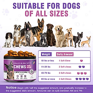 Grass Burn Spot Chews for Dogs Dog Pee Grass Neutralizer 300 Green Grass Dog Chews Dog Pee Lawn Spot Saver for Grass Burn Spots Dog Urine Neutralizer for Lawns with Probiotics Digestive Enzymes