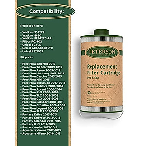 GALVANOX Replacement Filter Cartridge Compatible with Watkins 303279, PFF42TC-P4/Filbur FC2402/Unicel Compatible with Free Flow Hot Tub & More (2 Pack) 40 SQ FT