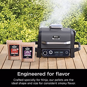 Ninja OG701 Woodfire Outdoor Grill, 7-in-1 Master Grill, BBQ Smoker, & Outdoor Air Fryer plus Bake, Roast, Dehydrate, & Broil, Woodfire Technology, with Robust Pellets