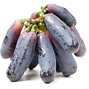 QAUZUY GARDEN 50 Witch Finger Grape Seeds Tear Drop Grapes, Sweet Sapphire Grapes - Premium Non-GMO Seeds - High Yield & Sweet & Tasty - Easy to Grow
