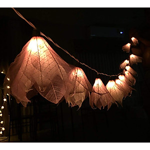 20 LED String Lights Pink Flower Fairy String Lights Leaves for Bedroom Window Curtain String Light Wedding Party Garden Outdoor Indoor Wall Decorations, Diameter 10cm (Long 9ft)