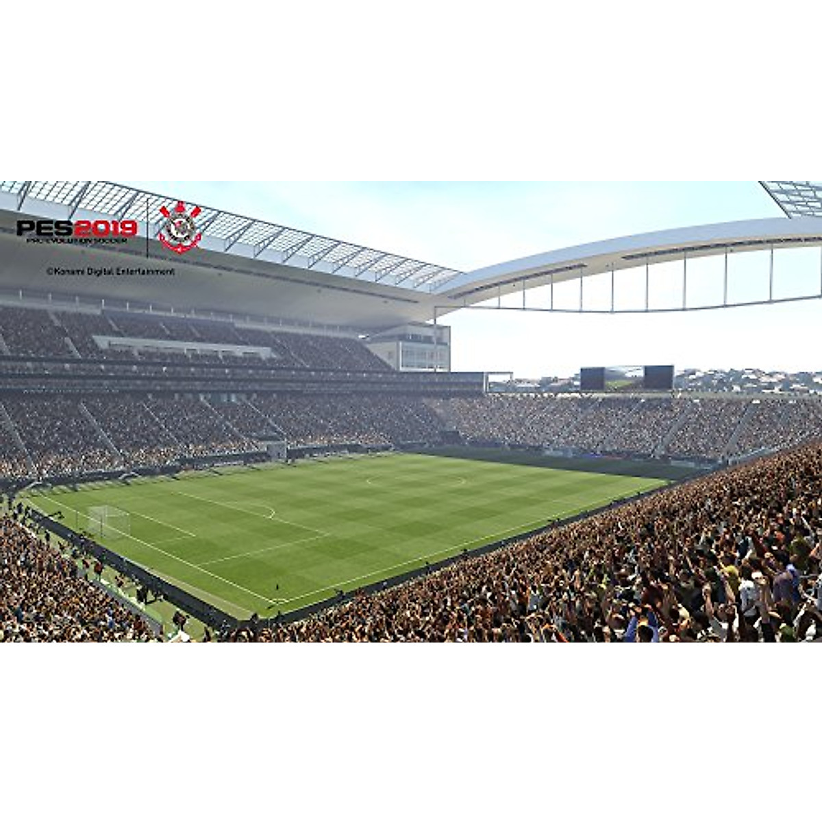 Pro Evolution Soccer 2019 (PS4)