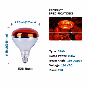 250 Watts Heat Lamp Bulbs, R40 Brooder Heat Lamp for Chickens, Infrared Reflector Heat Bulbs for Brooder Heater, Incandescent Heating bulb for Pet, Light Therapy, Bathroom, Food (2 Pack)
