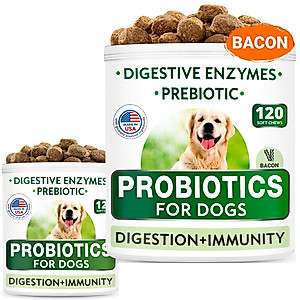 Dog Probiotics Chews Bundle - Gas, Diarrhea, Allergy, Constipation, Upset Stomach Relief - Digestive Enzymes + Prebiotics - Improve Digestion - 120 + 120 Chews - Chicken + Bacon Flavor - Made in USA
