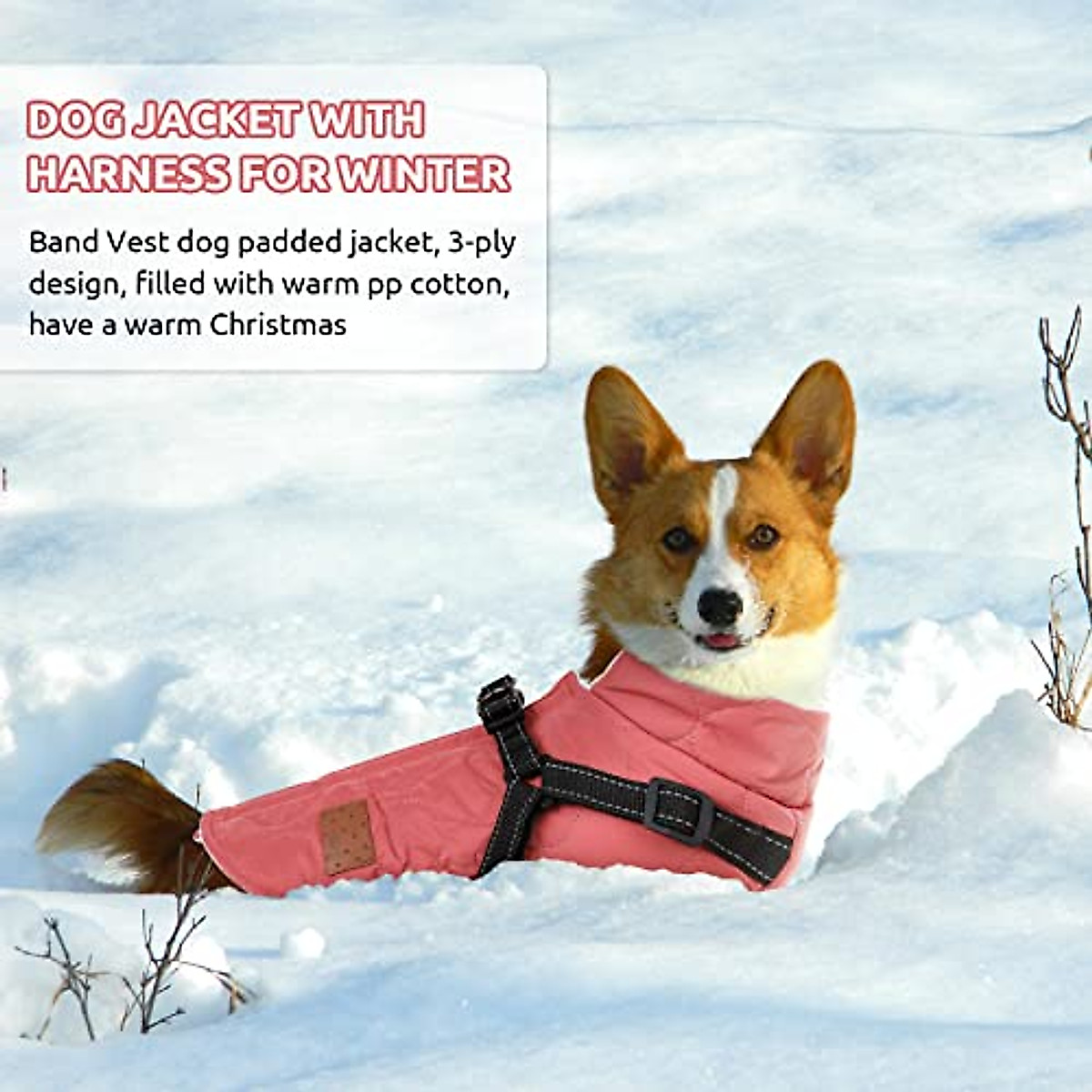 JUDYBRIDAL Dog Winter Jacket Pet Turtleneck Sweater for Cold Weather with Reflective Webbing, Warm Puppy Jacket Small Dog Winter Coats with Harness for Chihuahua Yorkie Dachshund Bulldog (M | Rose)