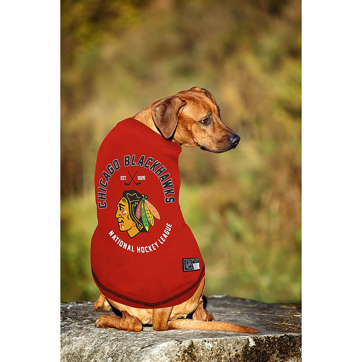 NHL Chicago Blackhawks Tee Shirt for Dogs & Cats, Small. - Are You A Hockey Fan? Let Your Pet Be An NHL Fan Too!