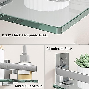 Danpoo Clear Tempered Glass Wall Shelf, Wall-Mounted Organizer for Bathroom, Kitchen(Matte Silver)