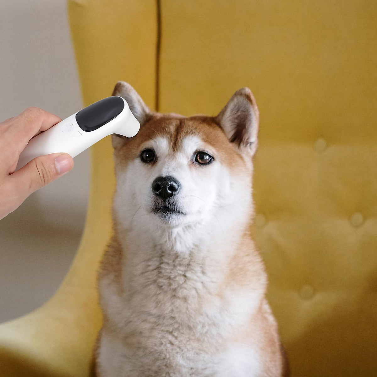 Abaodam Safe Thermometer 1 Set Pet Thermometer Small for Pets Digital Pet Temperature Monitor Digital Thermometer Rechargeable Thermometer Baby Cats and Dogs Ear Plastic Light Thermometer