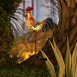 Tryme Solar Lights Outdoor Decorative Rooster Garden Decor Chicken Crackle Glass Globe Stake Lights Waterproof Warm White LED Yard Decor for Pathway Lawn Patio Courtyard Backyard