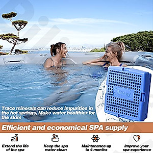 Bilinavy Hot Tub Mineral Sanitizer for Sundance Spas Filter, Silver Ion Mineral Cartridge Last for 4 Months Treats, Cleans and Clarifies
