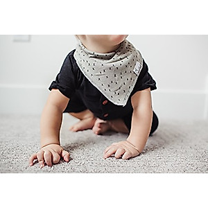 Copper Pearl Baby Bandana Drool Bibs for Drooling and Teething 4 Pack Gift Set “Alta, Soft Set of Cloth Bandana Bibs for Any Baby Girl or Boy, Cute Registry Ideas for Baby Shower Gifts