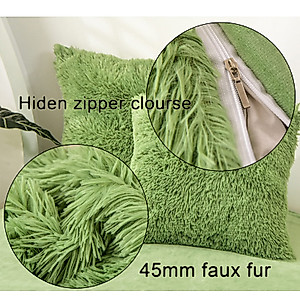 MorroMorn Shaggy Throw Pillow Covers, Luxury Long Faux Fur Pillows Shams, Square Pillow Cases Set, Pack of 2 Pillowcase Decorative Cushion Cover for Bed Couch Soft Zipper Room Decor (Green)