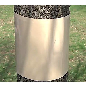 Pack of 15 Spotted Lanternfly, Canker Worm Sticky Tree Banding 7 inch Wide by 36 inch Longe