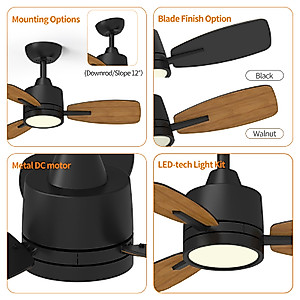 TALOYA Ceiling Fan with LED Light 32 Inch Remote Control Quiet Ceiling Fans with Reversible DC Motor for Bedroom Dining Room Office,Black/Walnut