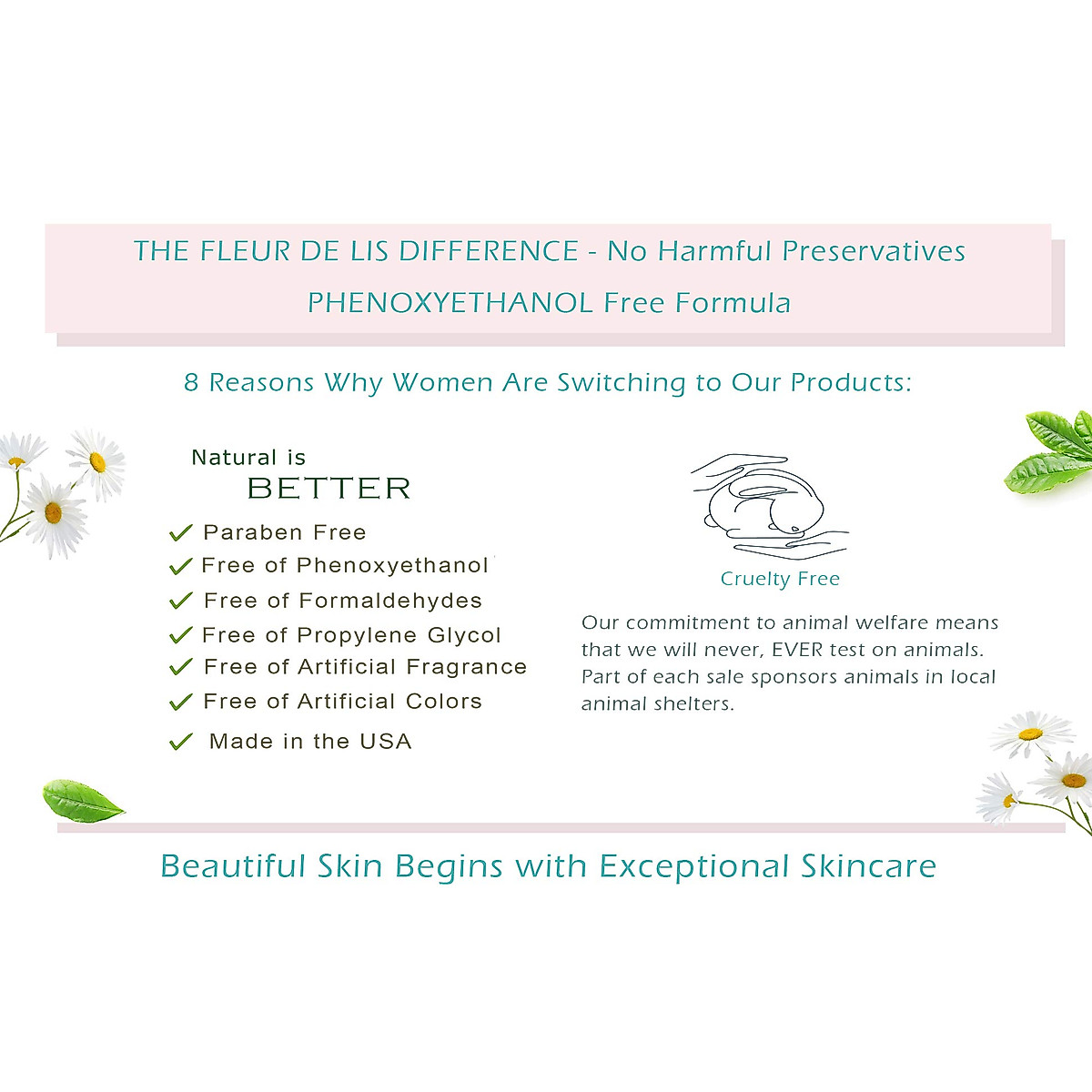 Face Cream Anti Aging Royal Jelly - Natural & Organic Ingredients, Face Moisturizer for Dry Skin, Anti Aging Cream for Face, Anti Wrinkle Cream for Women & Men – 1.7 oz