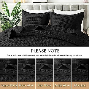 HYLEORY Quilt Set Full Queen Size - Soft Lightweight Quilts Summer Quilted Bedspreads - Reversible Coverlet Bedding Set for All Season 3 Piece (1 Quilt, 2 Pillow Shams) - Black